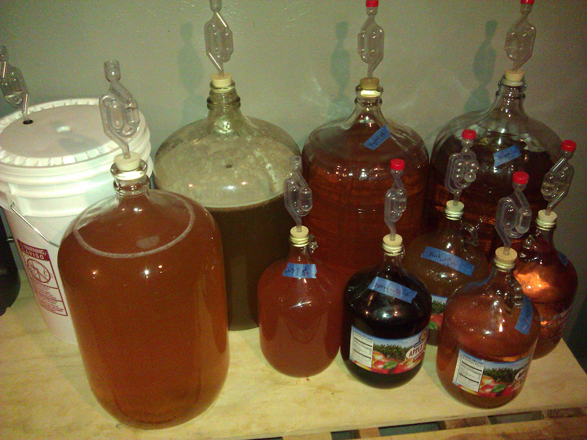 The Story – Dragon Meadery®